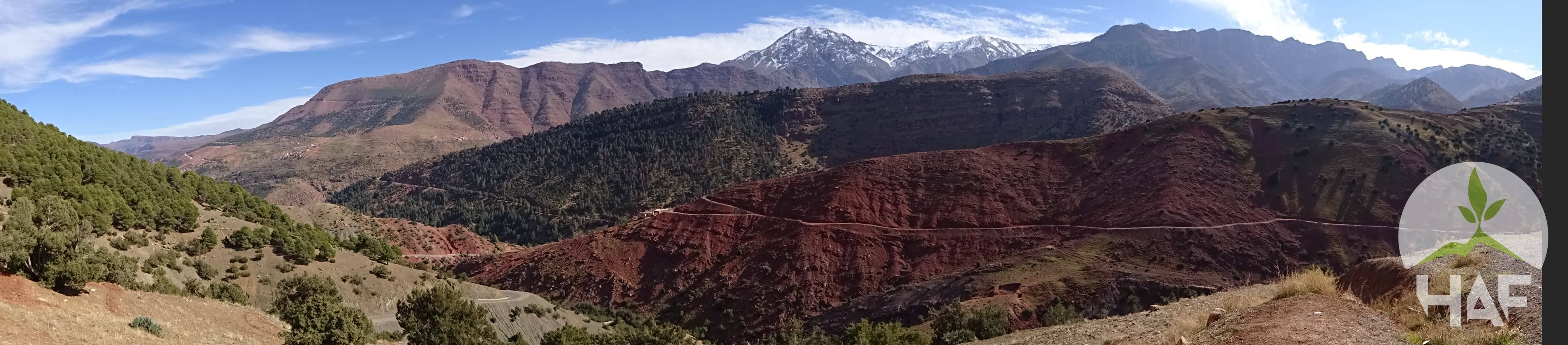 A Personal Journey with the High Atlas Foundation — High Atlas Foundation