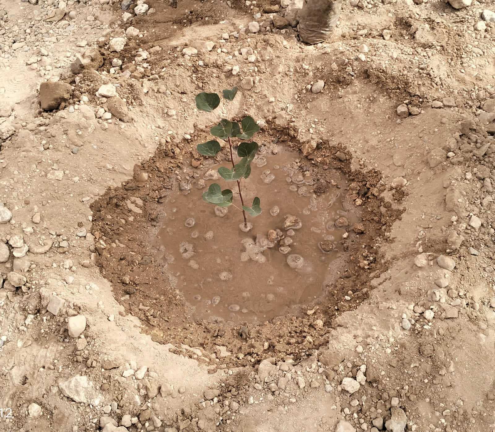 FEDERATING ASSOCIATIONS FOR MARKET SHARE OF ORGANIC PRODUCE — High ...