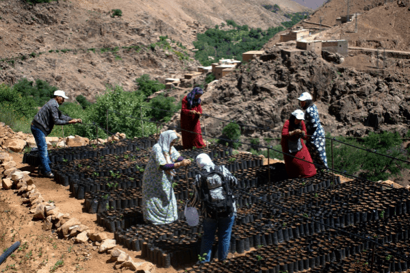 Walk on the Green Terraces — High Atlas Foundation