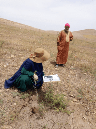 Review of “The Labor of Agrodiversity in a Moroccan Oasis”