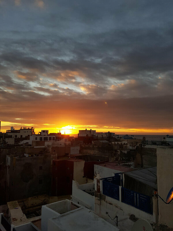 Tree Bien! a Few Final Words on My Internship with HAF — High Atlas ...