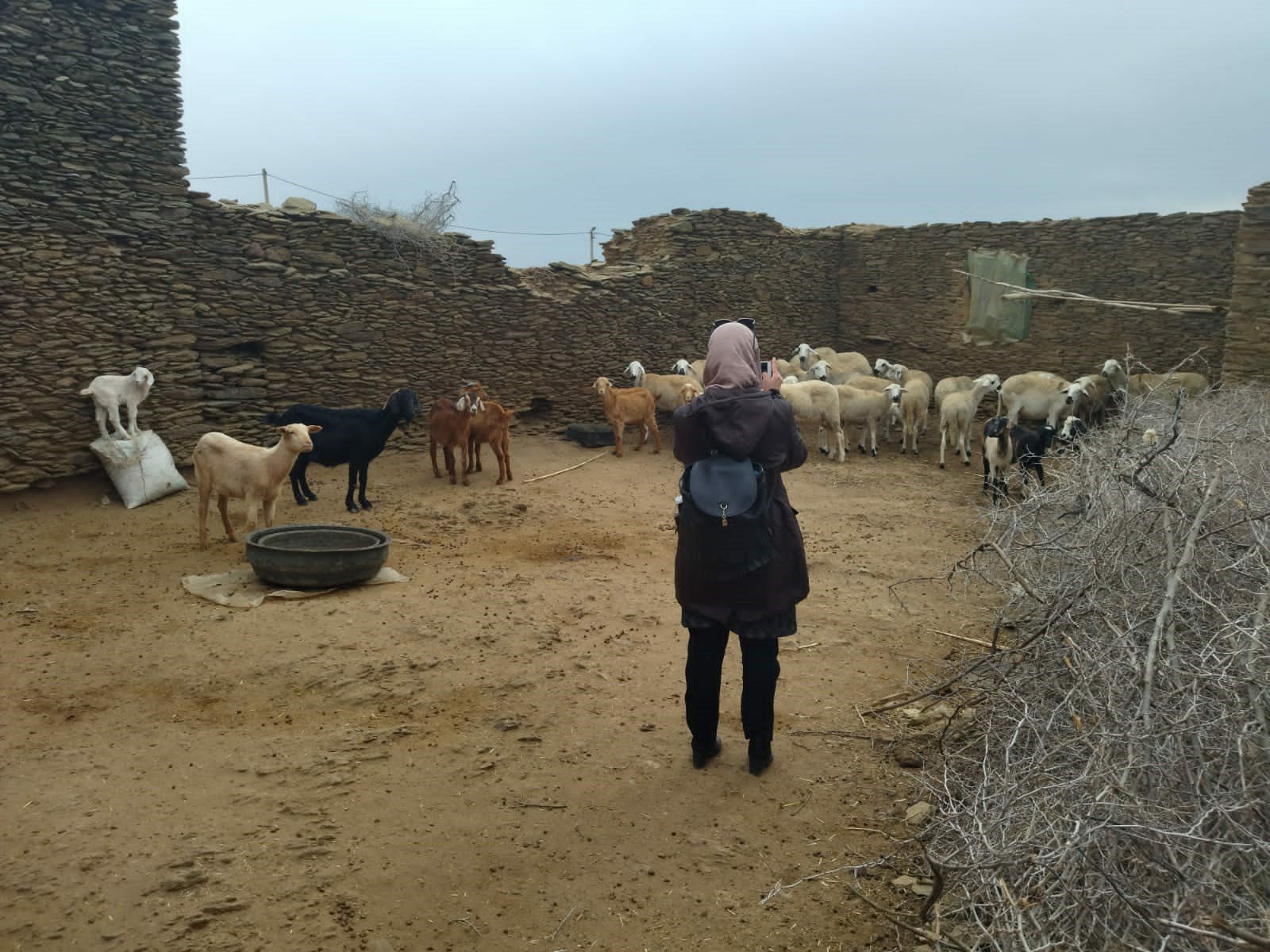 An Unexpected Evolution of a Farmer-to-Farmer Training — High Atlas ...