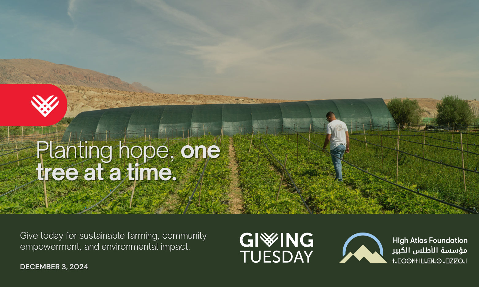 Planting hope, one tree at time — High Atlas Foundation