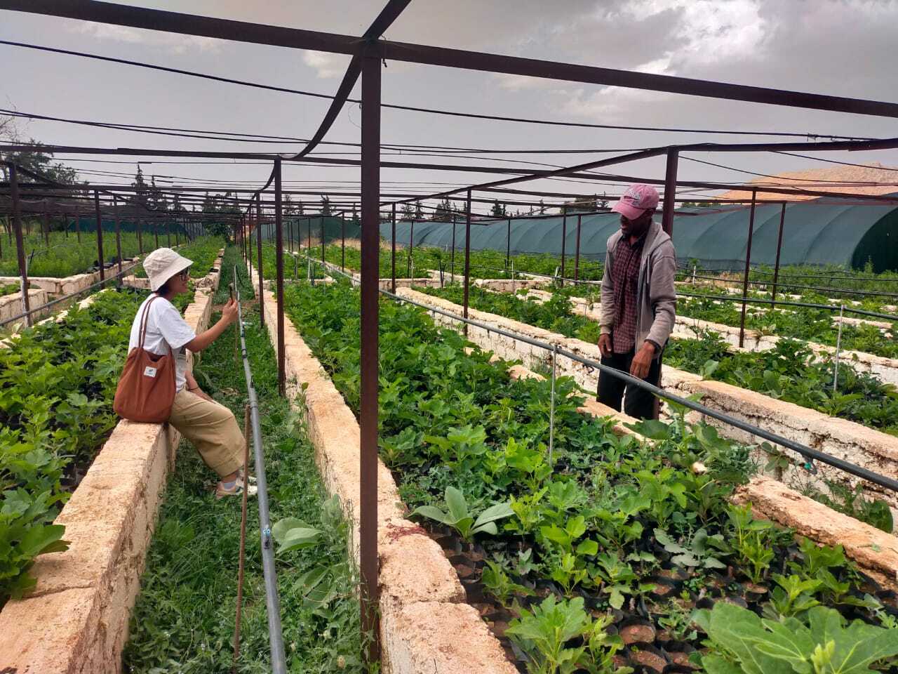 A Journey to Khenifra and Ain Leuh: Witnessing Growth and Resilience ...