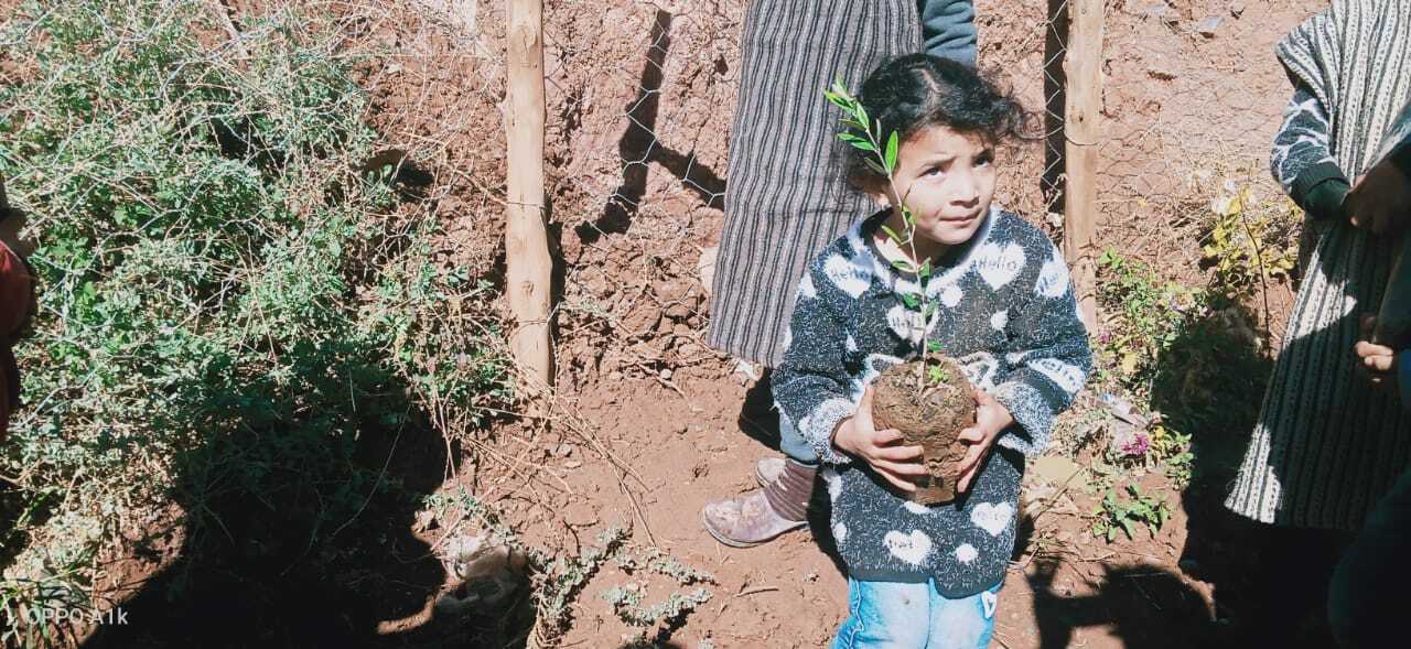 Contributing to Sustainable Development and Saving the Earth by ...