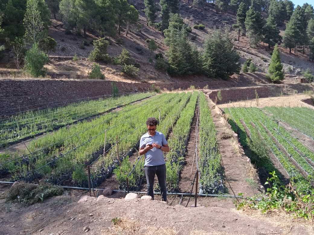 Fruit Tree Planting in the Bible — High Atlas Foundation