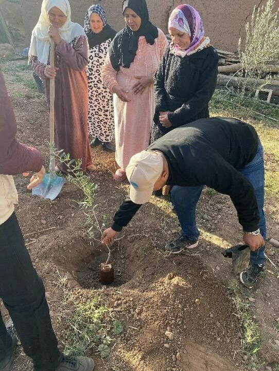 Tree Planting Day in Diverse Landscapes — High Atlas Foundation