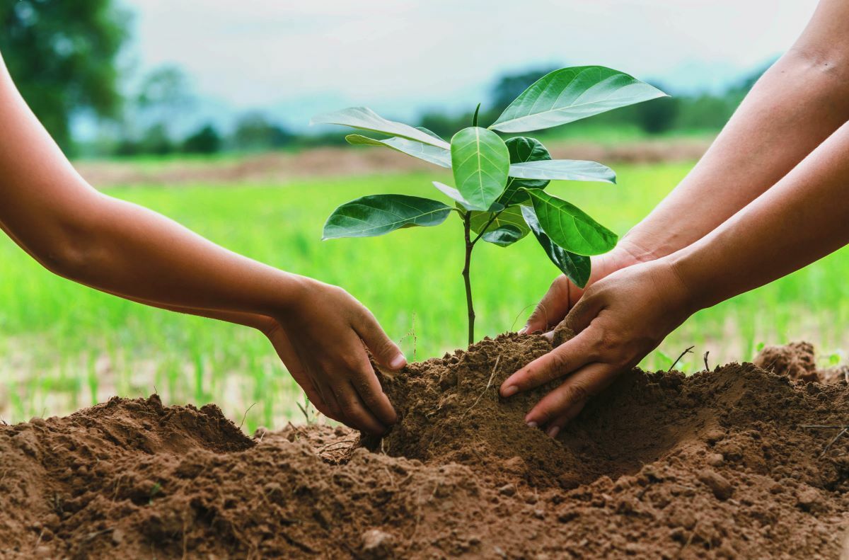 Achieve the Dream of Planting Trees in Schools — High Atlas Foundation