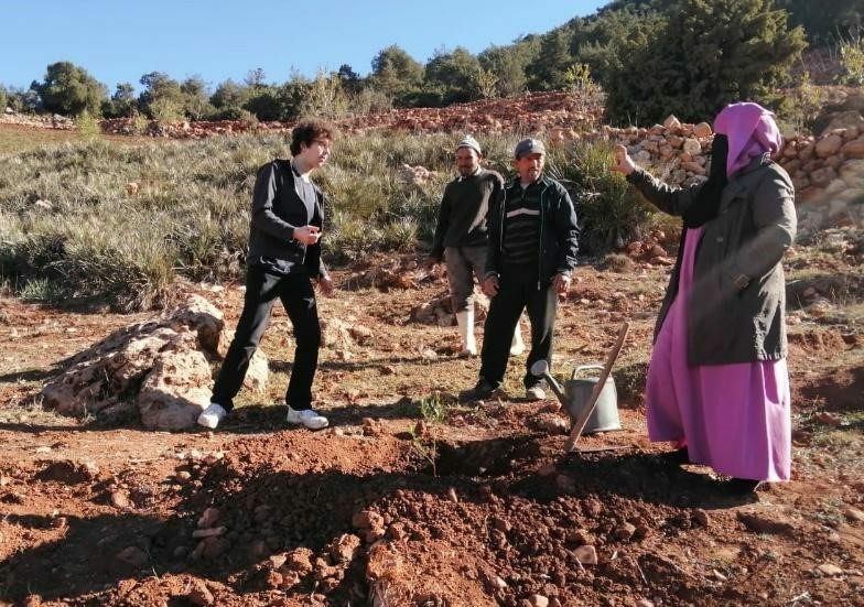 Tree Planting Day: Let's plant together — High Atlas Foundation
