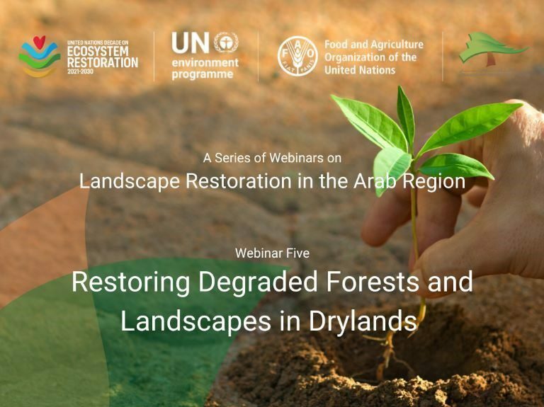 Webinar – Restoring Forests and Landscapes