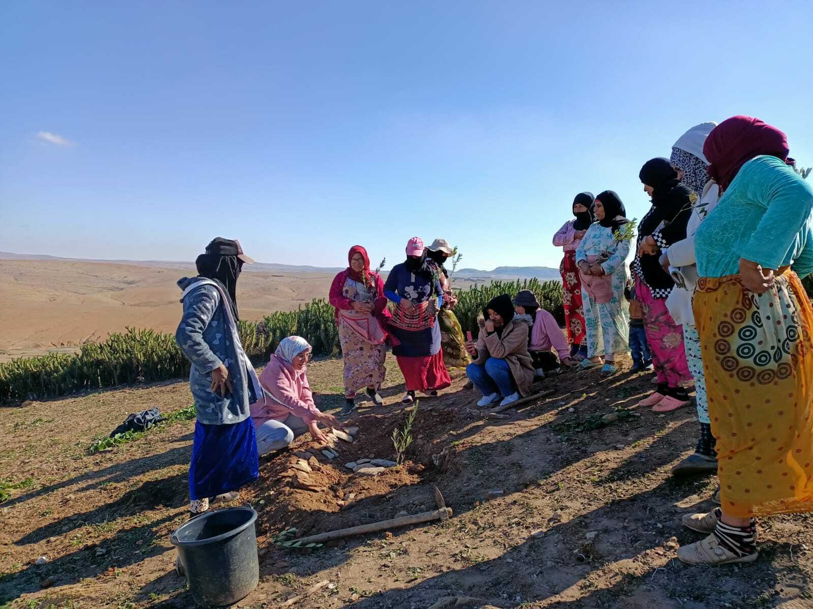 Bringing Local Sustainable Development to Scale — High Atlas Foundation