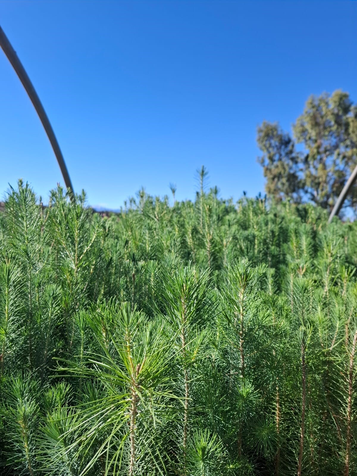 A Fulfilling Week of Activities: Learning, Growing, and Connecting ...