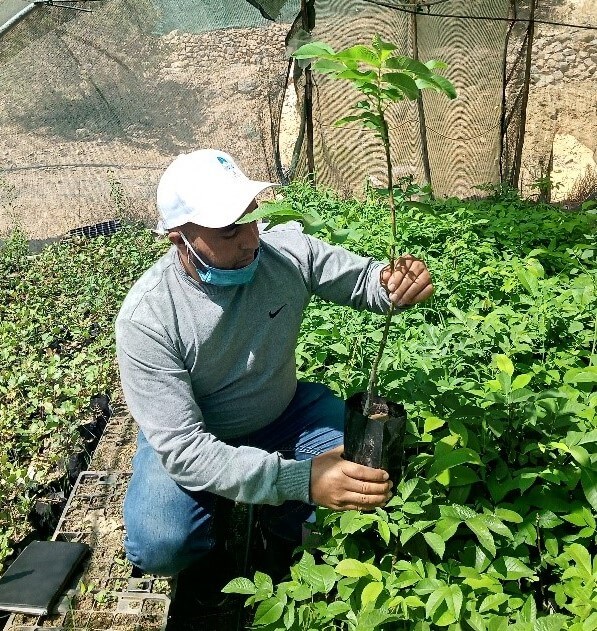 Planting Trees Can Reduce Poverty and Slow Climate Change — High Atlas ...