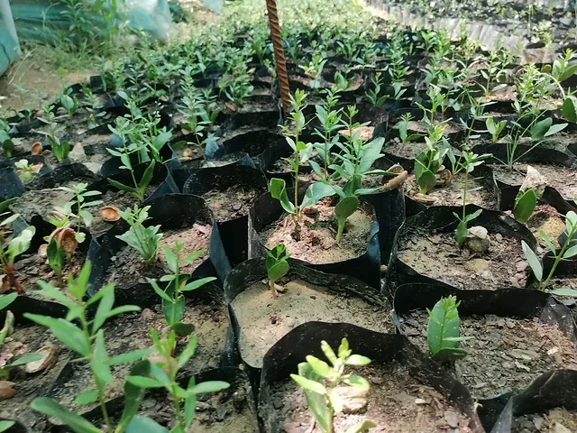 Announcement: Peter Jupp Is the New Chair of Haf's Board of Directors ...