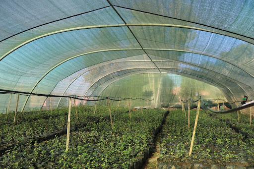 Civil Society Growth: Challenges and Opportunities — High Atlas Foundation