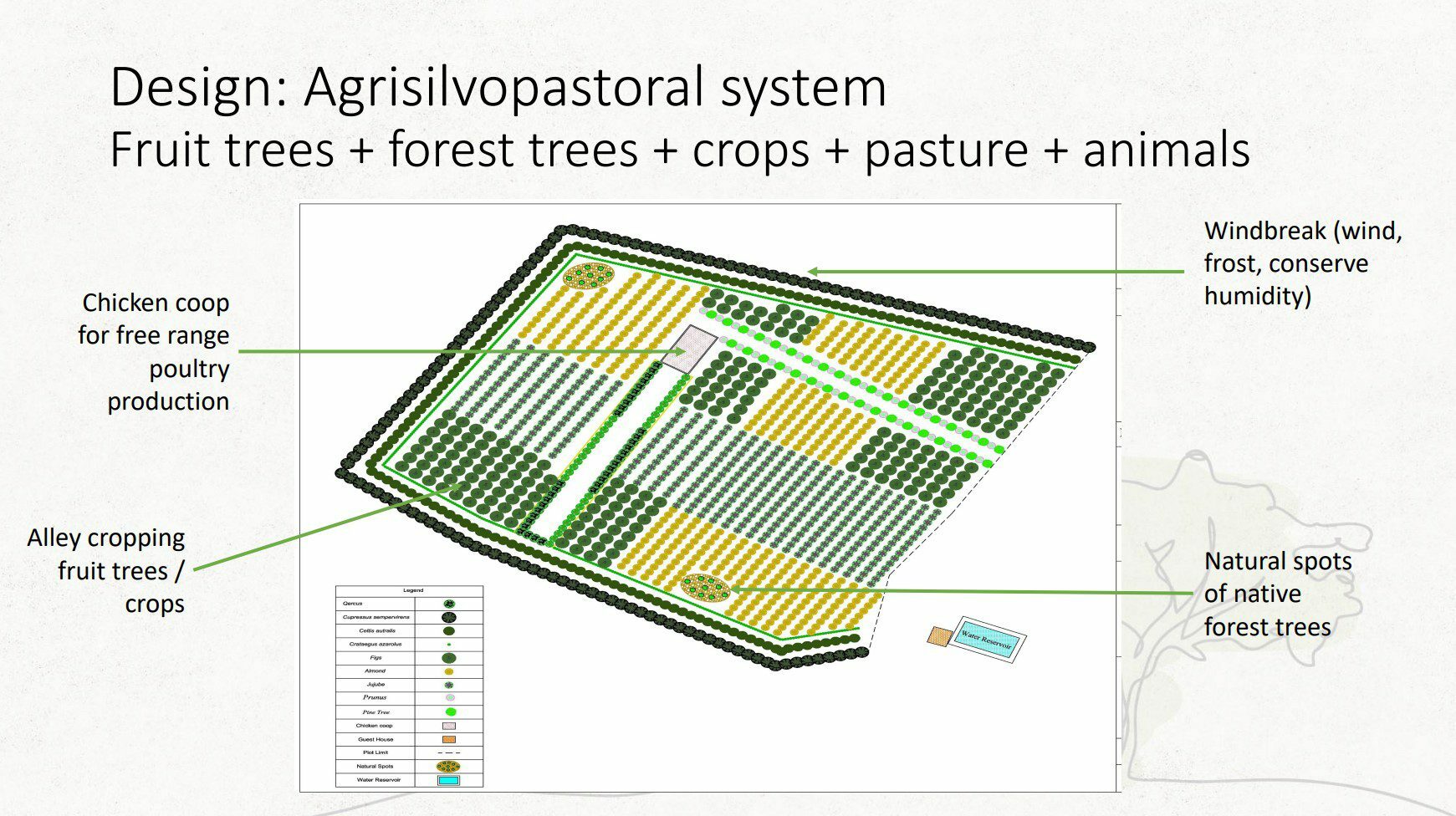 Forest-based Landscape Management in Lebanon