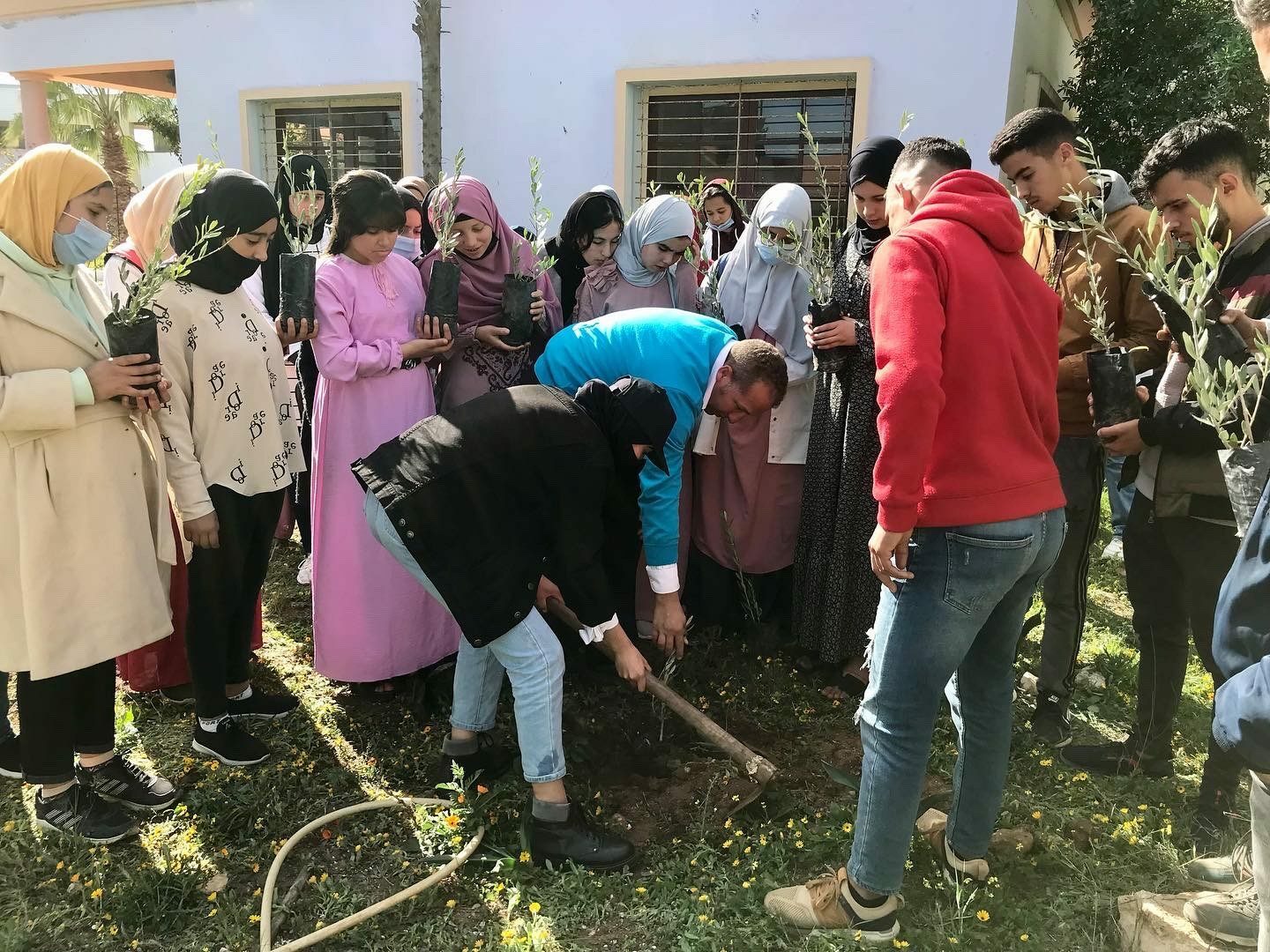 Tree Planting Day in Sidi Bennour — High Atlas Foundation