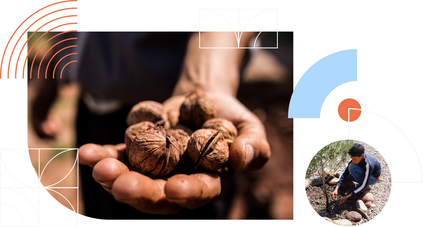 Get Involved — High Atlas Foundation