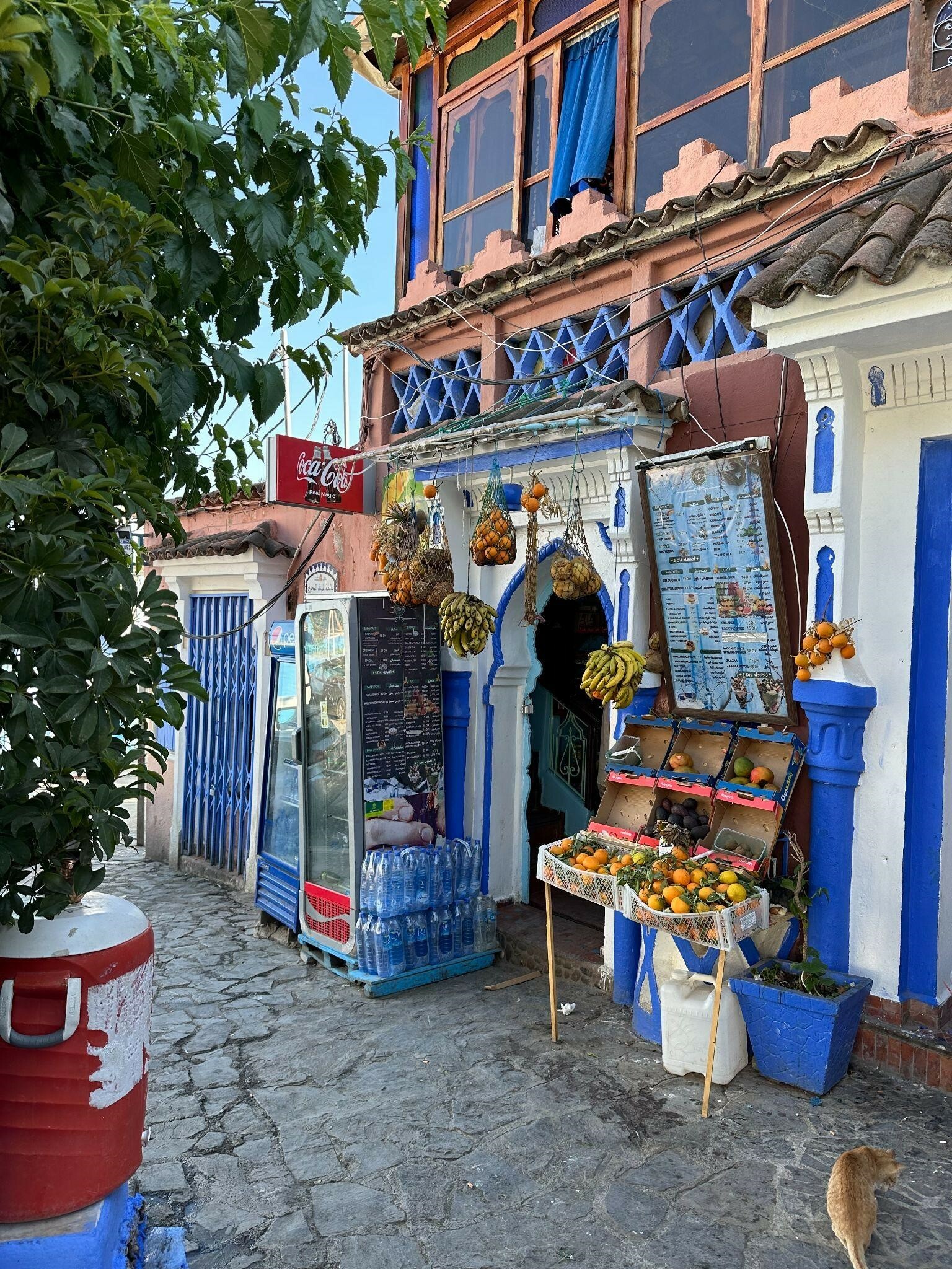 The Beauty of Morocco: An Ode to Color — High Atlas Foundation