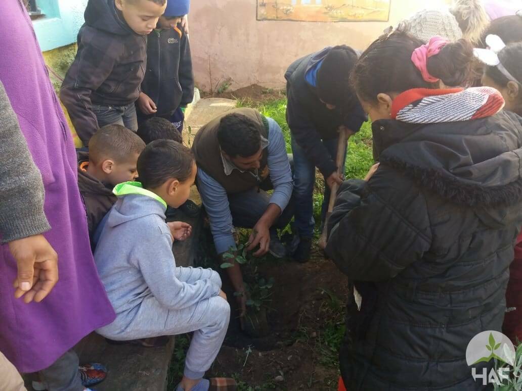 HAF’s National Tree Planting in Morocco, 21 January 2019, Mlk Day-USA ...