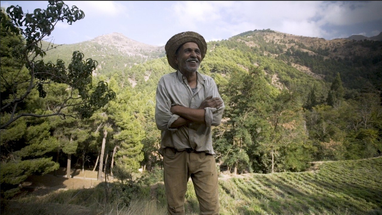 Haf Partnerships Essential to Sustainable Tree Planting — High Atlas ...