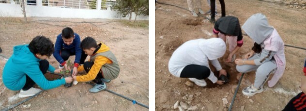 Awareness workshop on Tree planting and its importance in human life ...