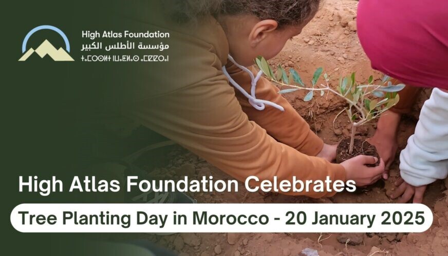 High Atlas Foundation Celebrates Tree Planting Day Across Morocco on 20 ...