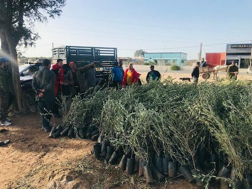 The distribution of trees during 2021/1022 — High Atlas Foundation