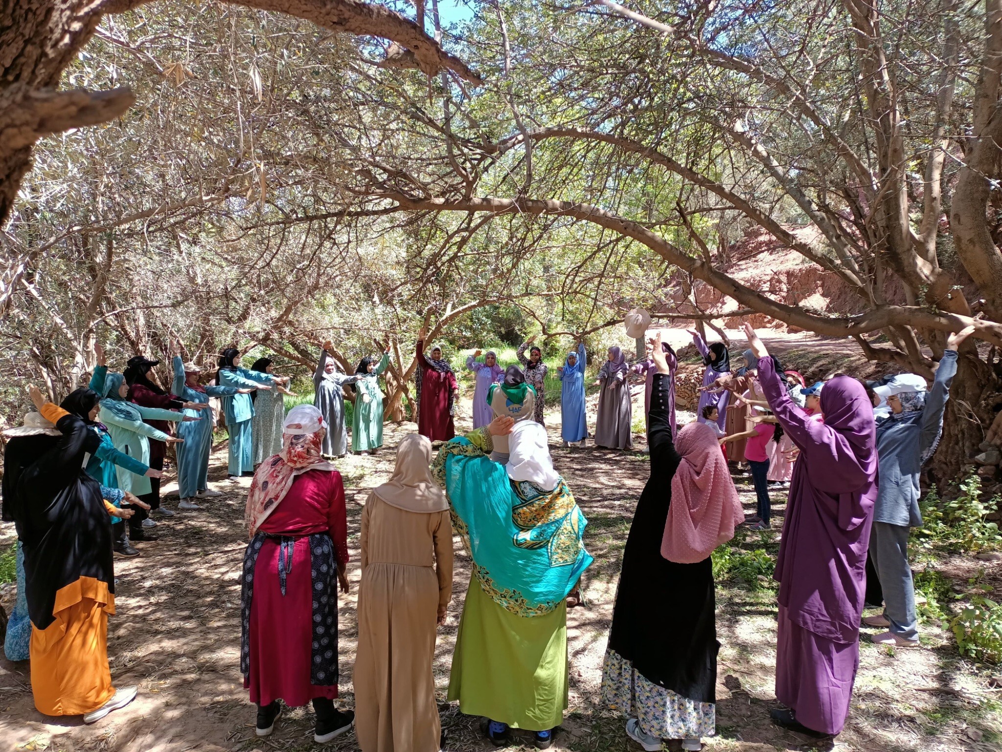 Empowering Women Through Cooperatives and Psychosocial Support: A Path ...